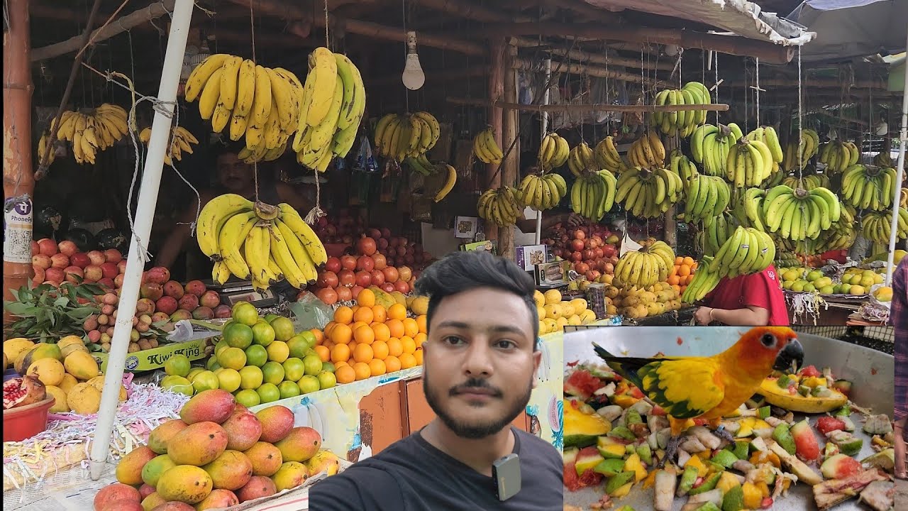 Aj Market se bohot sara fruits purchase kiya bird's or parrot's k Liye ...