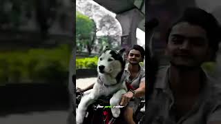 Public reaction on Duke 250 👀🤯 Dog lovers 🐕❤‍🔥 #duke250 #ytshorts #shorts #viralshorts