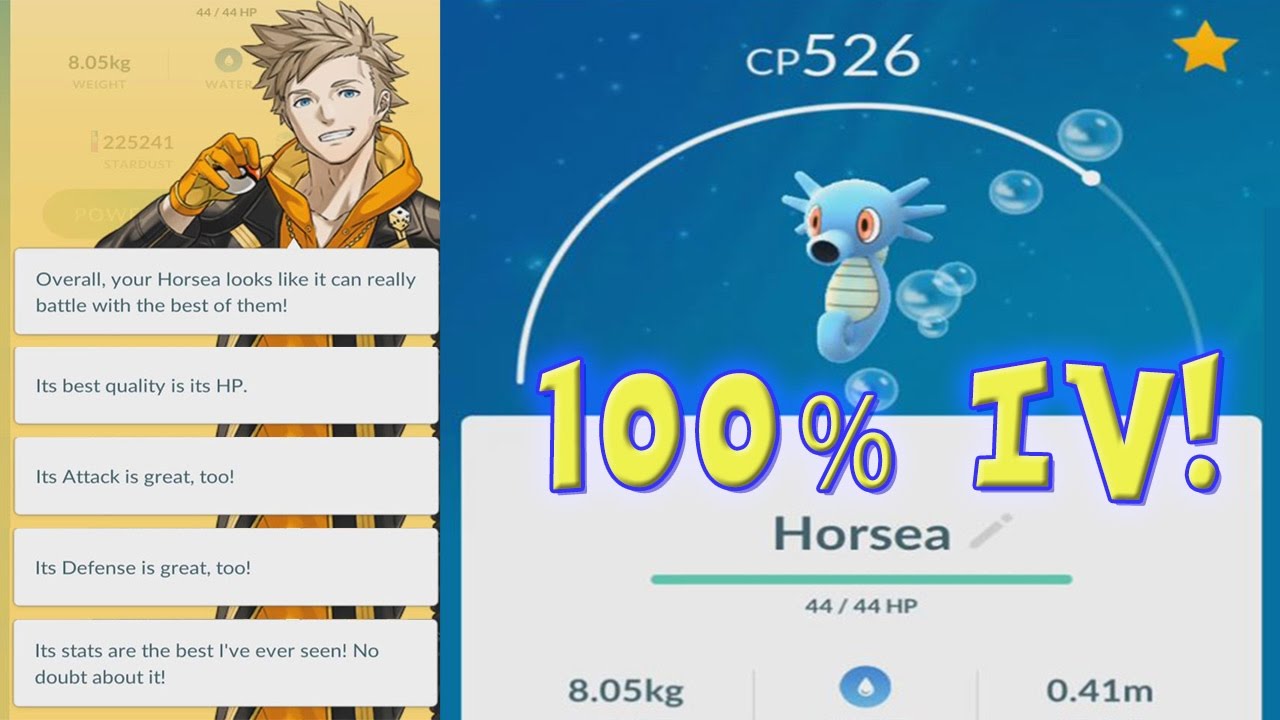 100% IV HORSEA HATCHED! Perfect Seadra Evolution, Waiting For Kingdra ...