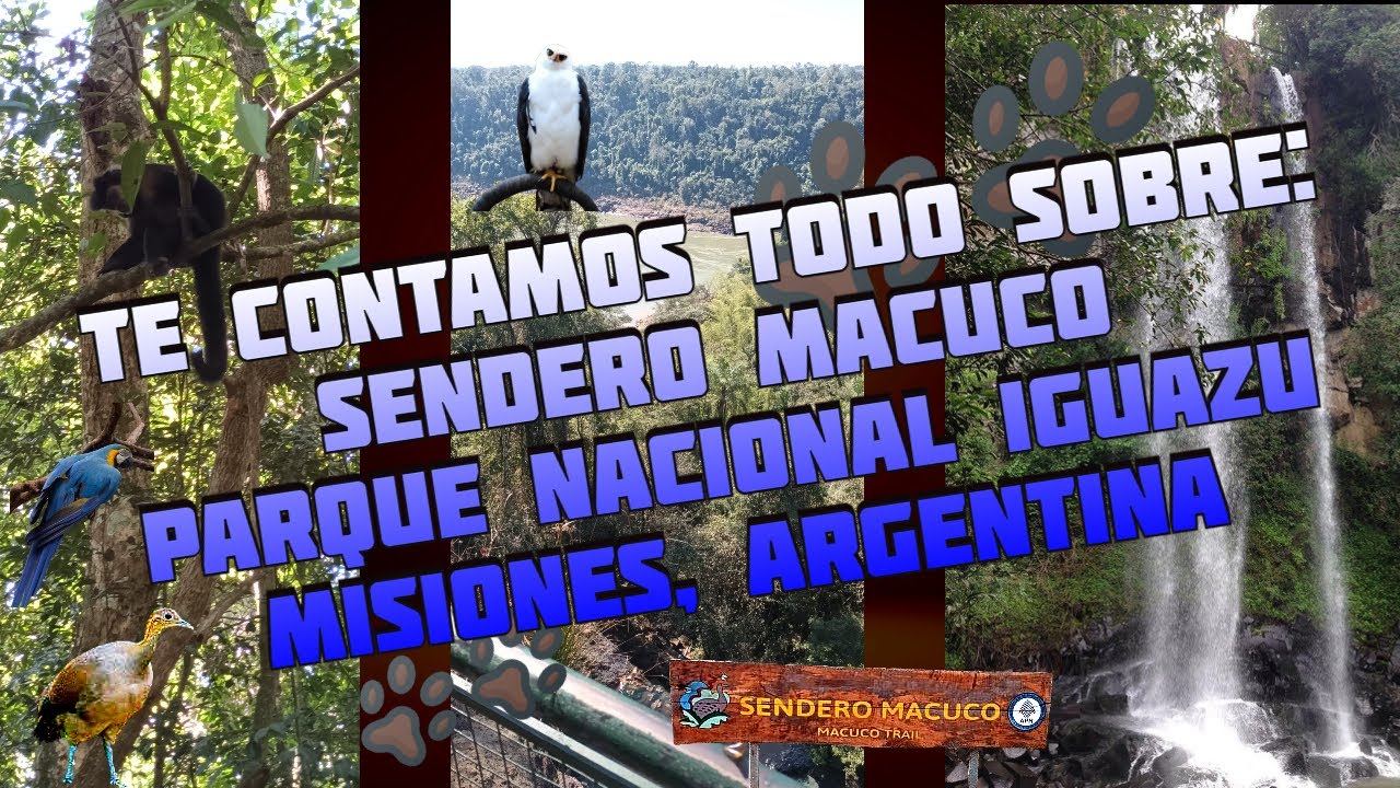 Caminata por el Sendero Macuco, Parque Nacional Iguazú, Misiones ...