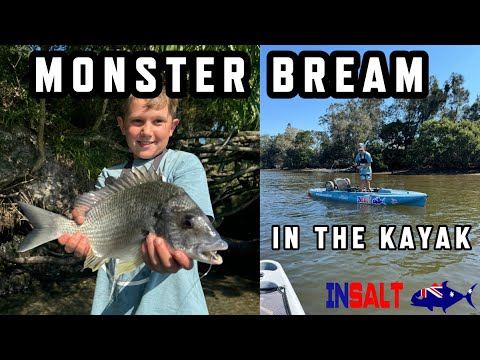Monster Bream on Soft Plastics, Kayak Fishing - YouTube