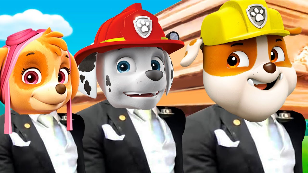 Paw Patrol - Coffin Dance Meme Song Cover - YouTube