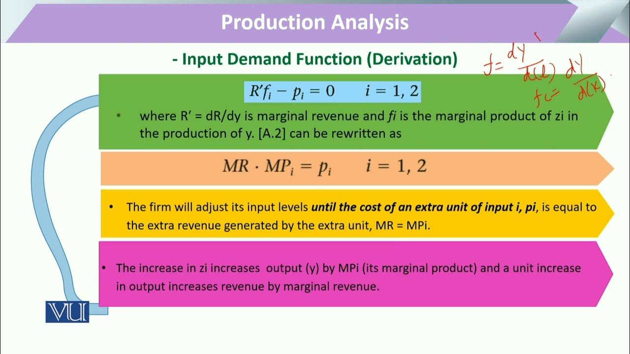 Profit Maximization: Input Demand Function (Derivation) | Microeconomic Analysis | ECO614 ...