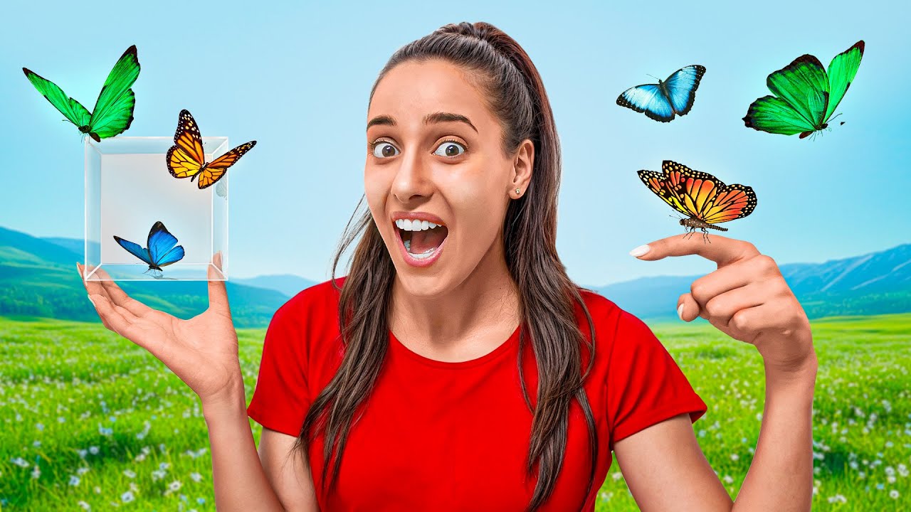 FACCIAMO NASCERE UNA FARFALLA!! - YouTube