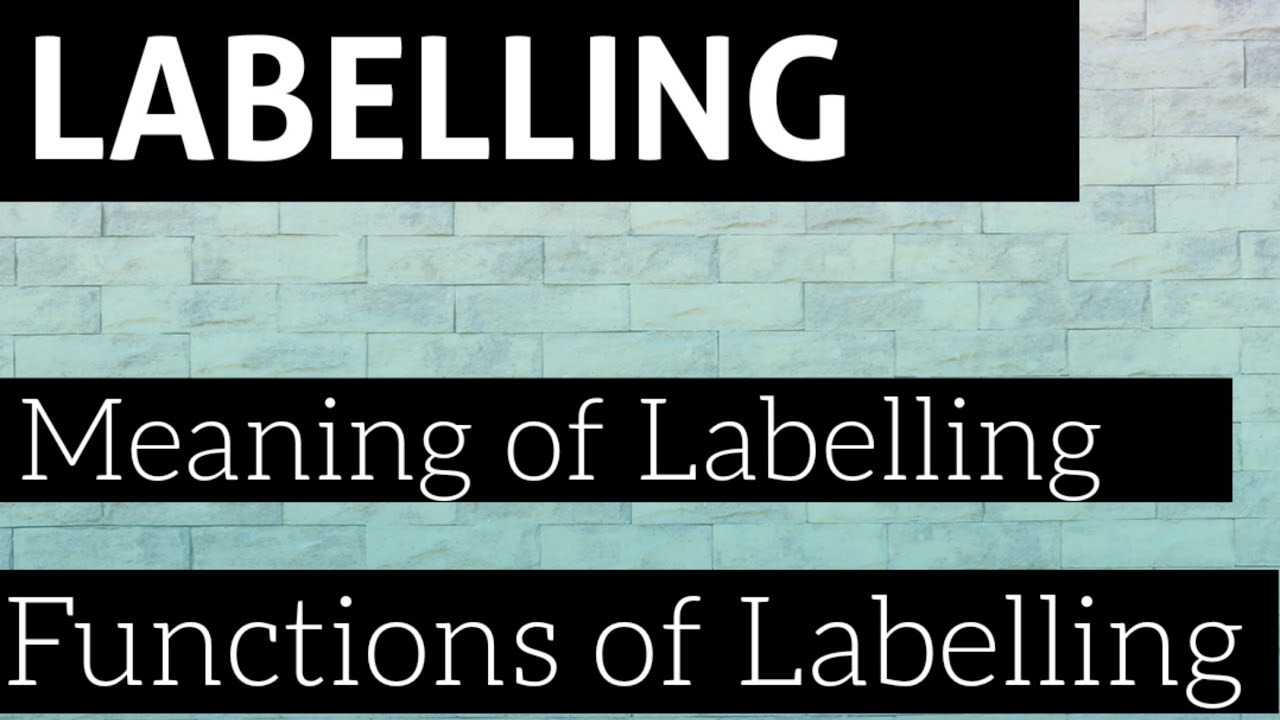 Theory of Marketing: Part 28 Labelling | Functions of Labelling - YouTube