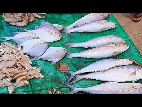 Varieties Of Fish Fry Items At Digha Udaipur Sea Beach । Sea Food ...