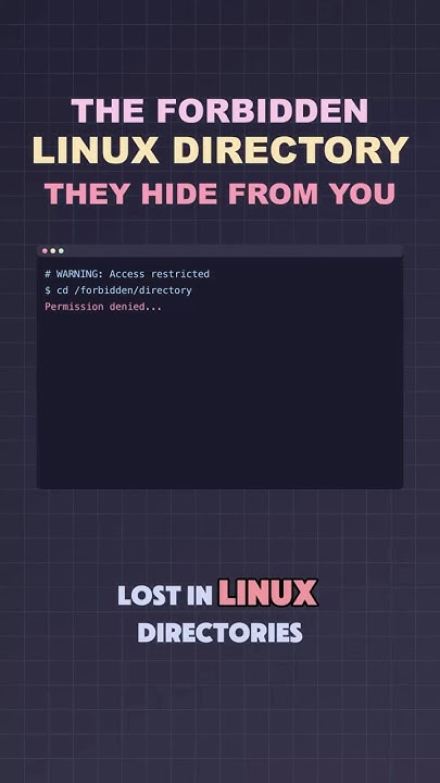 The Forbidden Linux Directory Map They Hide From You - YouTube