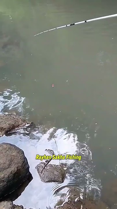 Mancing ikan nilem - YouTube