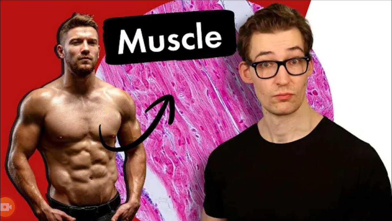 Physionic: Says, "Eat To Gain Muscle", Reduce Fat & Oxidative Stress!😀 ...