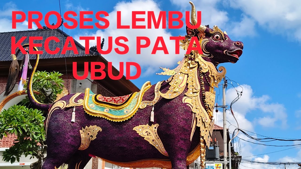 PROSES LEMBU KECATUS PATA UBUD #suryapangkung - YouTube