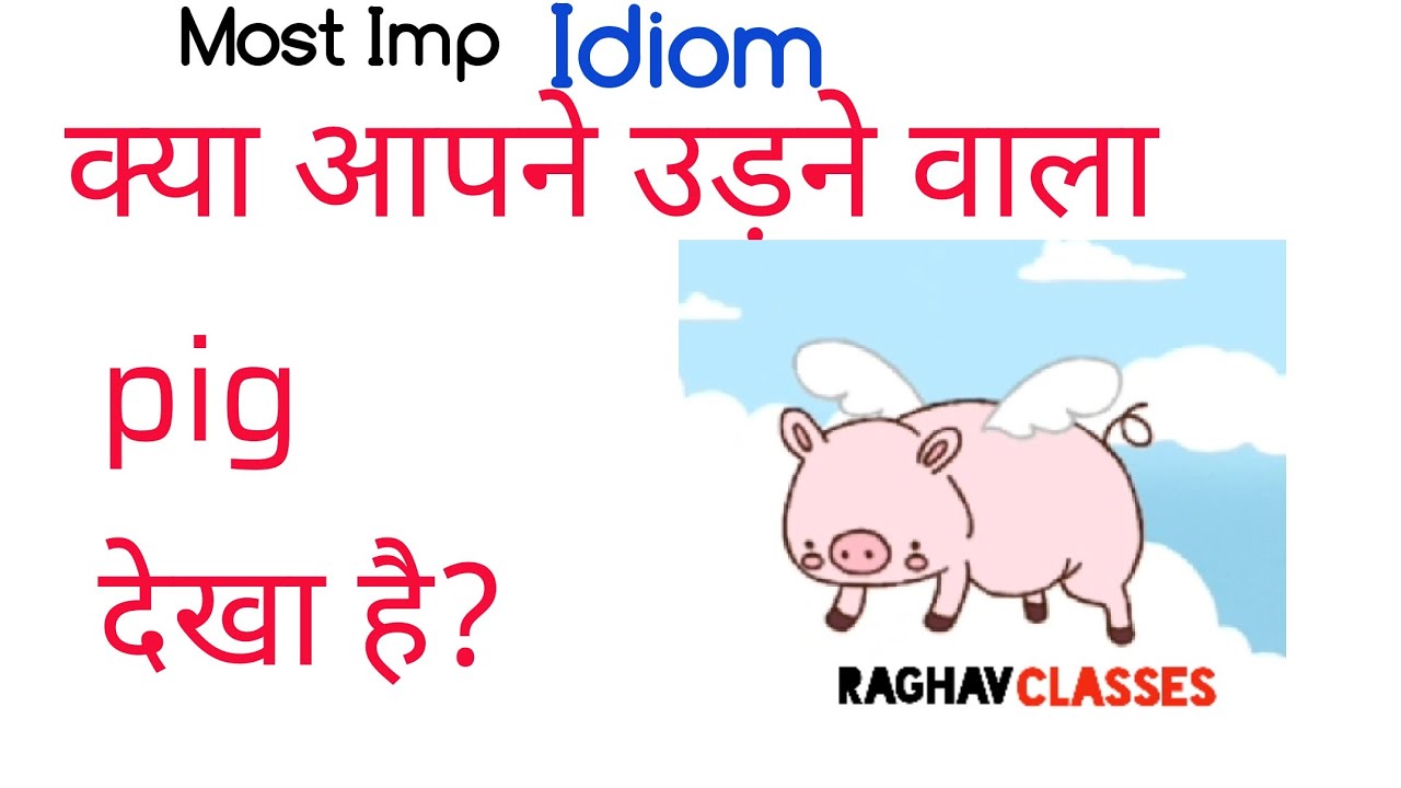 When Pigs Fly Meaning And Use By Raghav Sir YouTube when-pigs-fly-meaning-and-use-by-raghav-sir-youtube