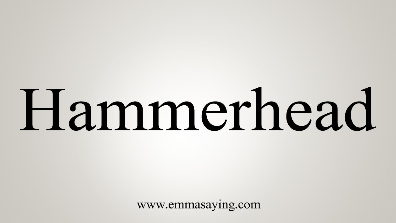 How To Say Hammerhead - YouTube