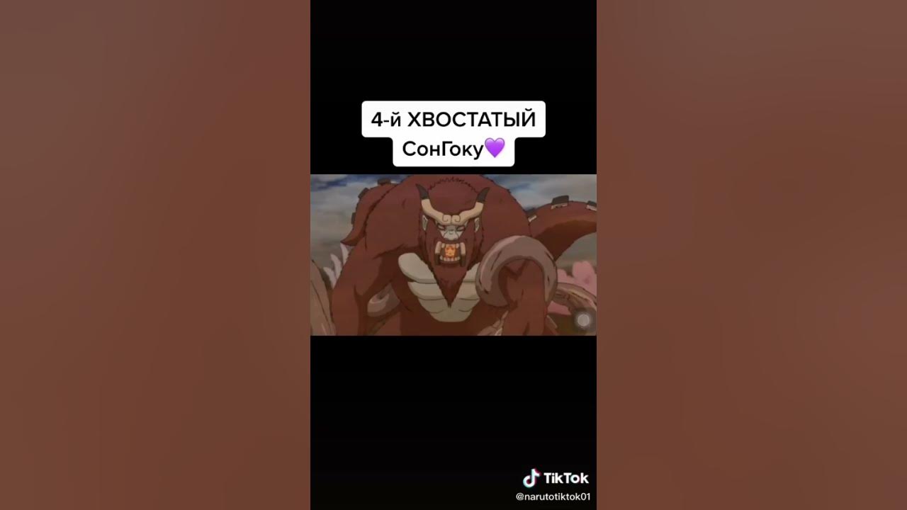 Все хвостатые - YouTube