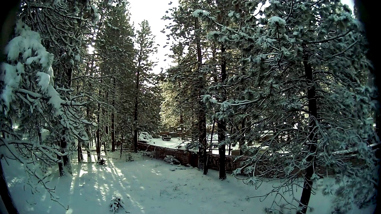 sticky snow flight - YouTube