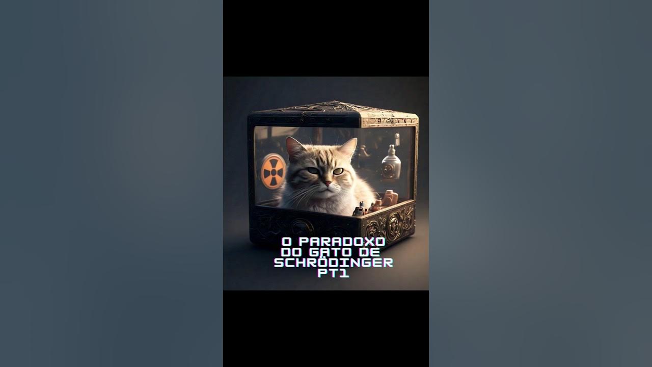 O Paradoxo Do Gato De Schrodinger - YouTube