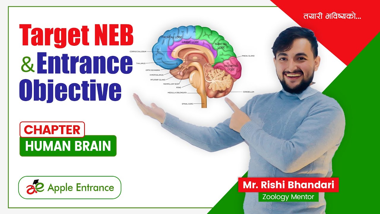 The Human Brain By Rishi Bhandari Sir Part-1 - YouTube