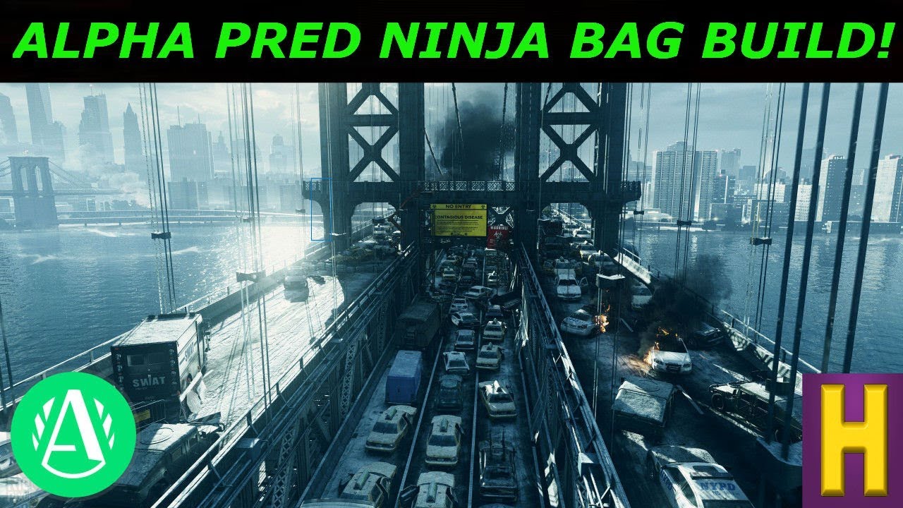 THE DIVISION 1.7 ALPHA/PRED NINJA BAG BUILD | HYBRID - YouTube