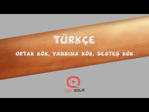 YKS (TYT) Türkçe Sözcükte Yapı Biçim Bilgisi Ortak Kök, Yansıma Kök, Sesteş Kök