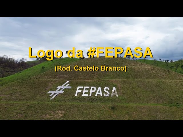 Fepasa Logo RailBR 2001 Photo Gallery