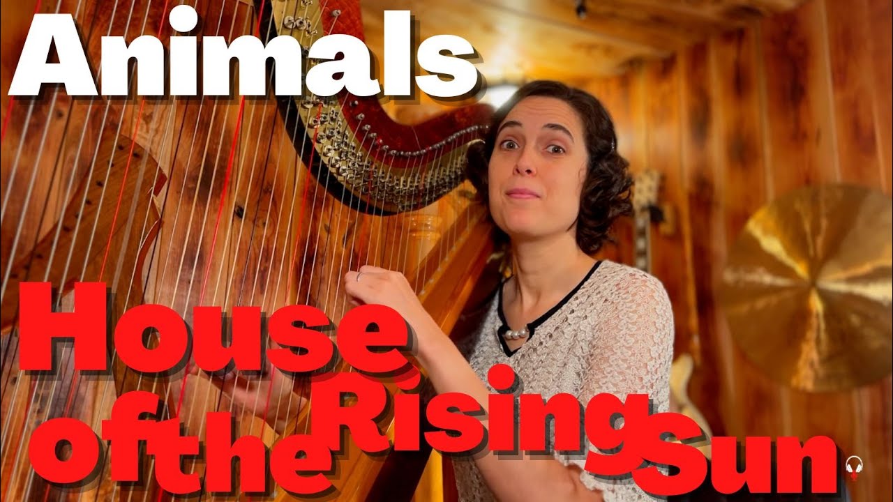 Animals, House Of The Rising Sun- A Classical Musician’s First Listen ...