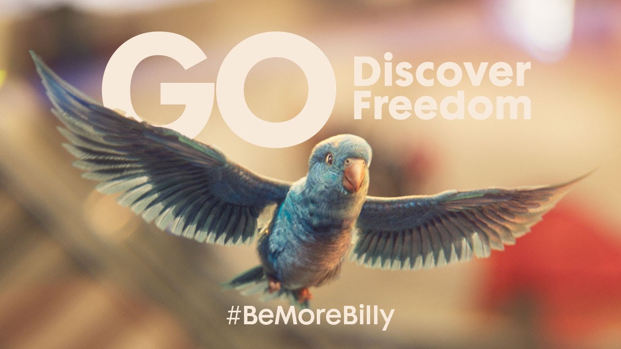 Introducing Billy | GO Outdoors TV Advert - YouTube