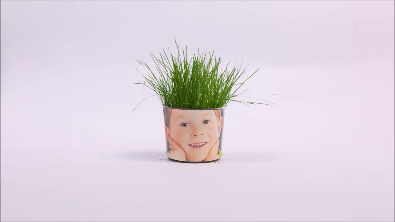 Mister Grass Head - SimpleSteps - YouTube