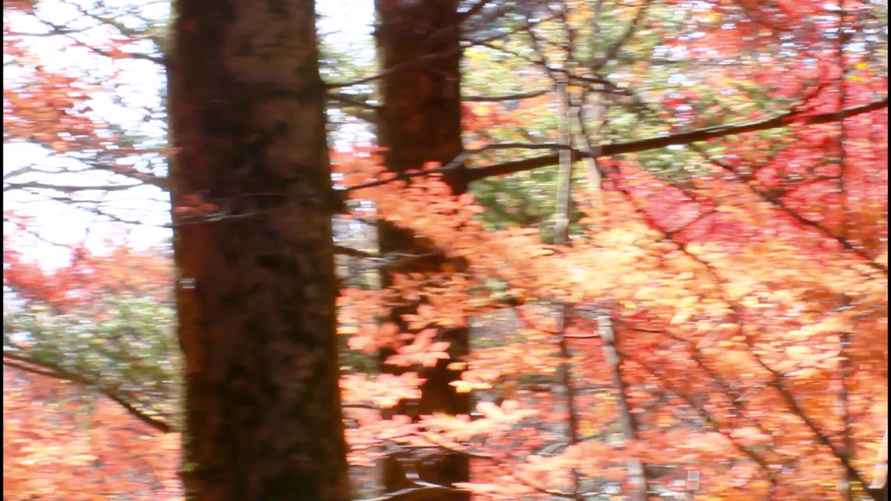 ‎Sunday‎, ‎November‎ ‎10‎, ‎2019 Large - YouTube