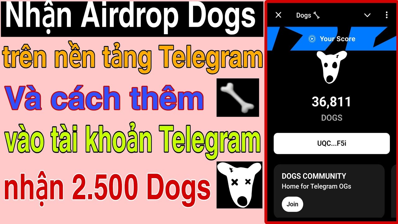 NHẬN AIRDROP DOGS TRÊN TELEGRAM VÀ CÁCH THÊM 🦴 ( CỤC XƯƠNG ) VÀO TÀI ...