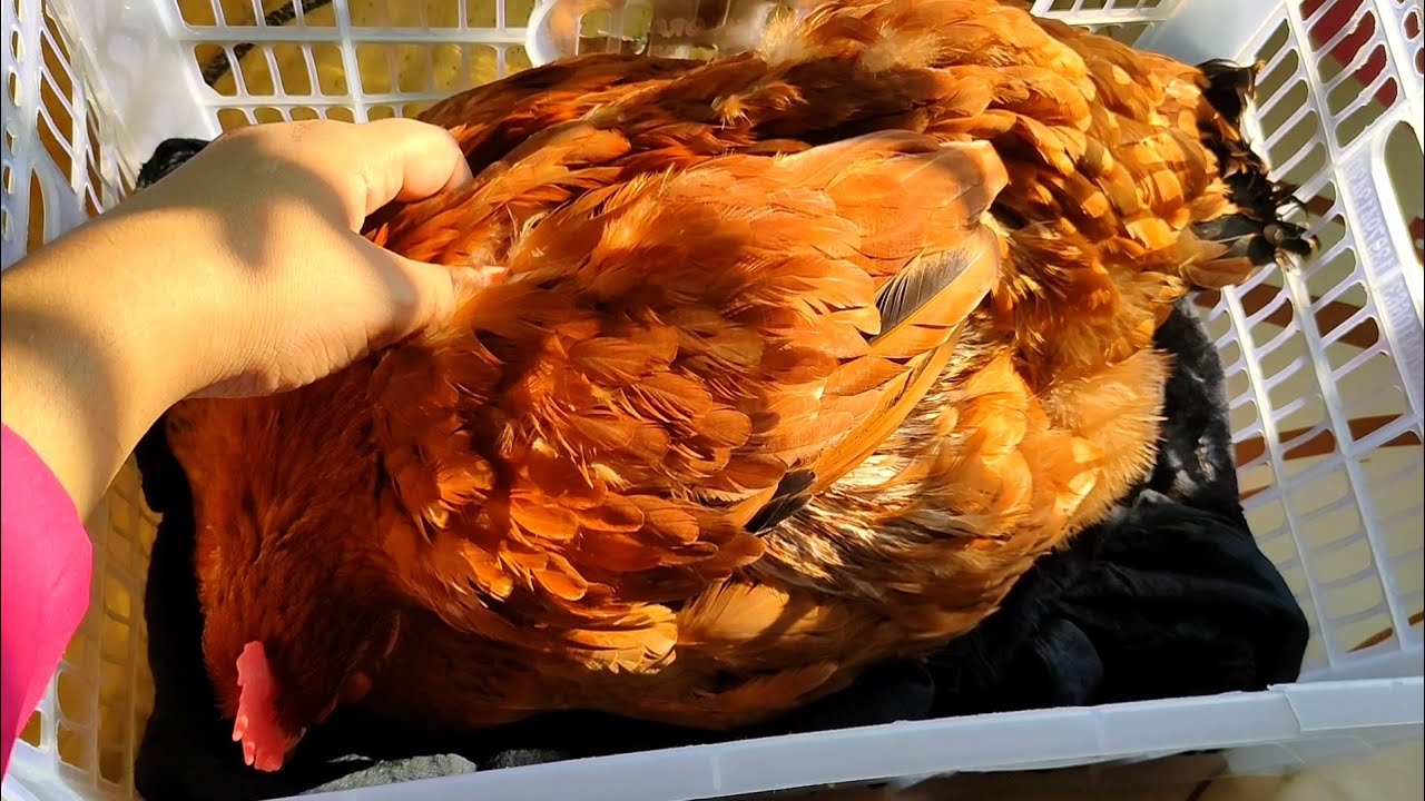 Bella Is Loving Warmness ☀ - YouTube
