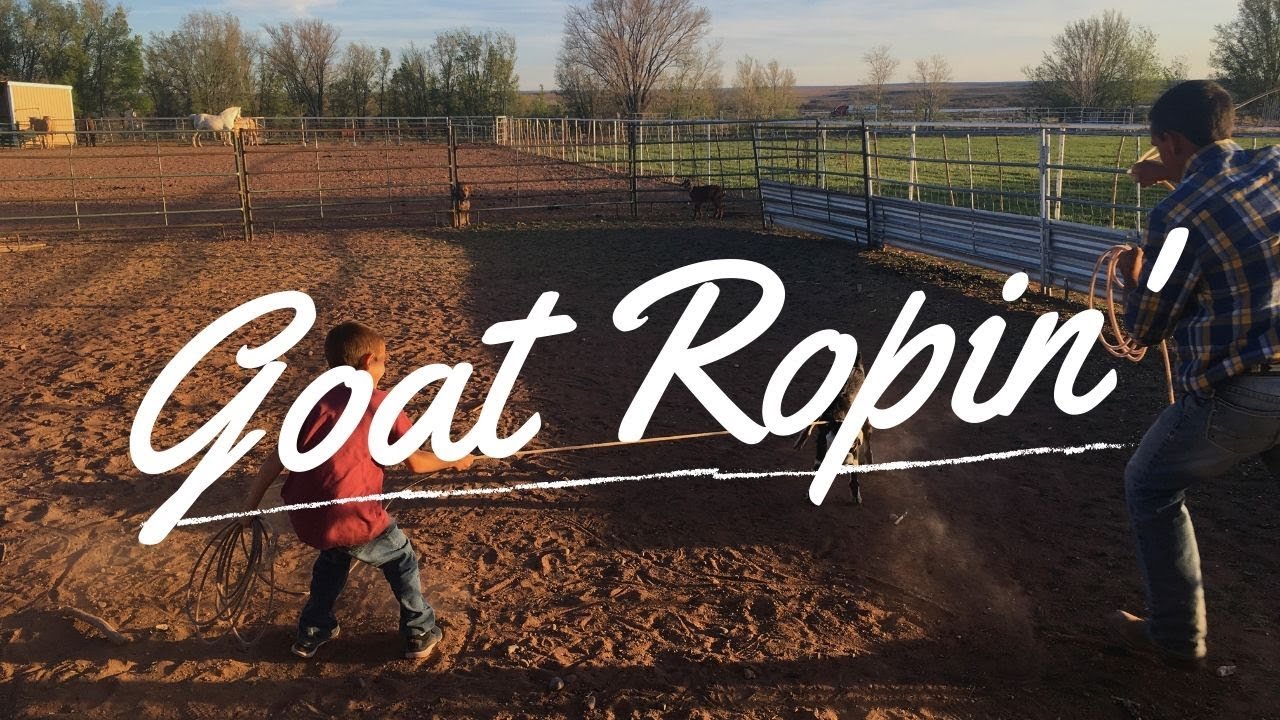 GOAT ROPING | FUN DAY ON THE FARM - YouTube