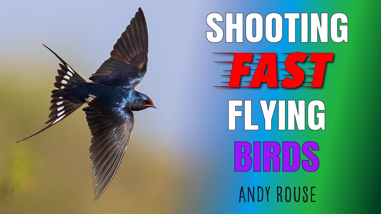 Pro andy rouse shows how to capture high action photos of fast flying ...