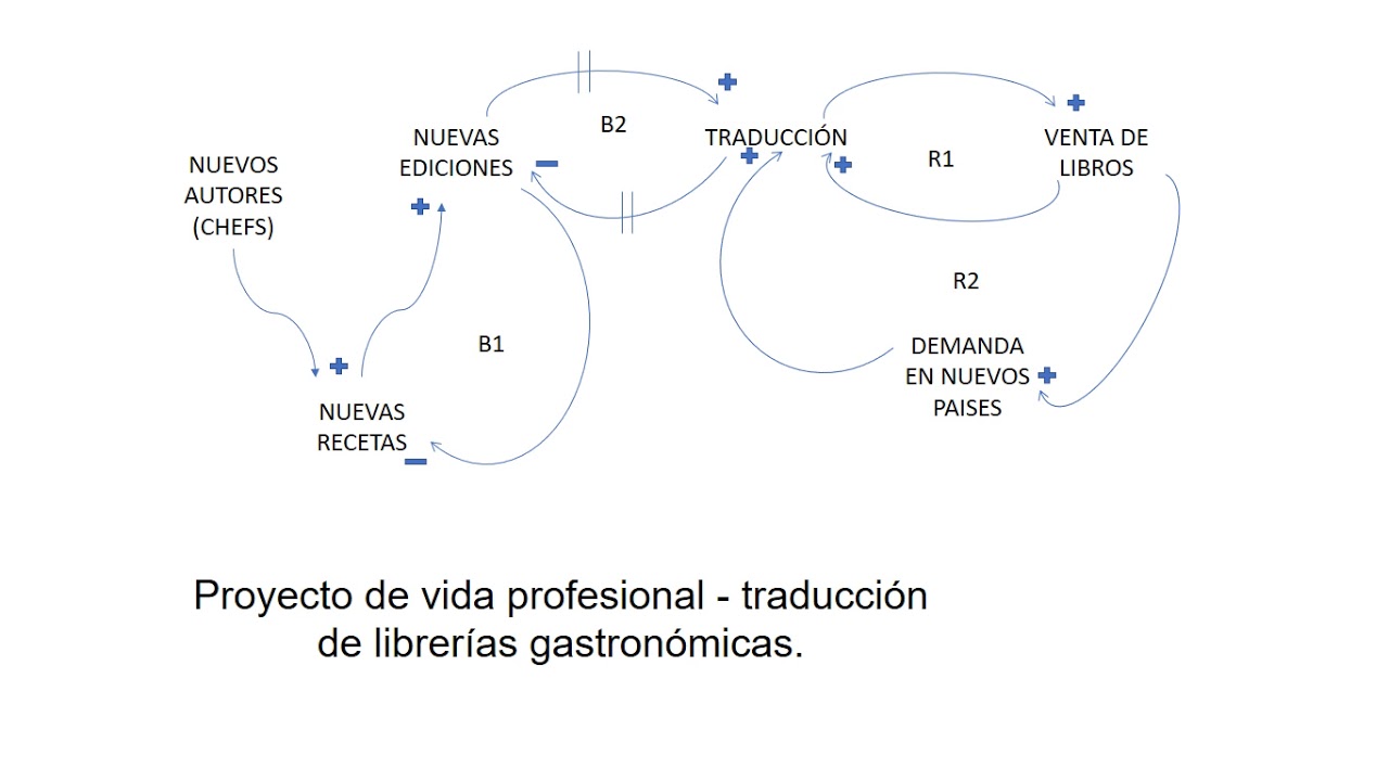Explicación diagrama causal - YouTube