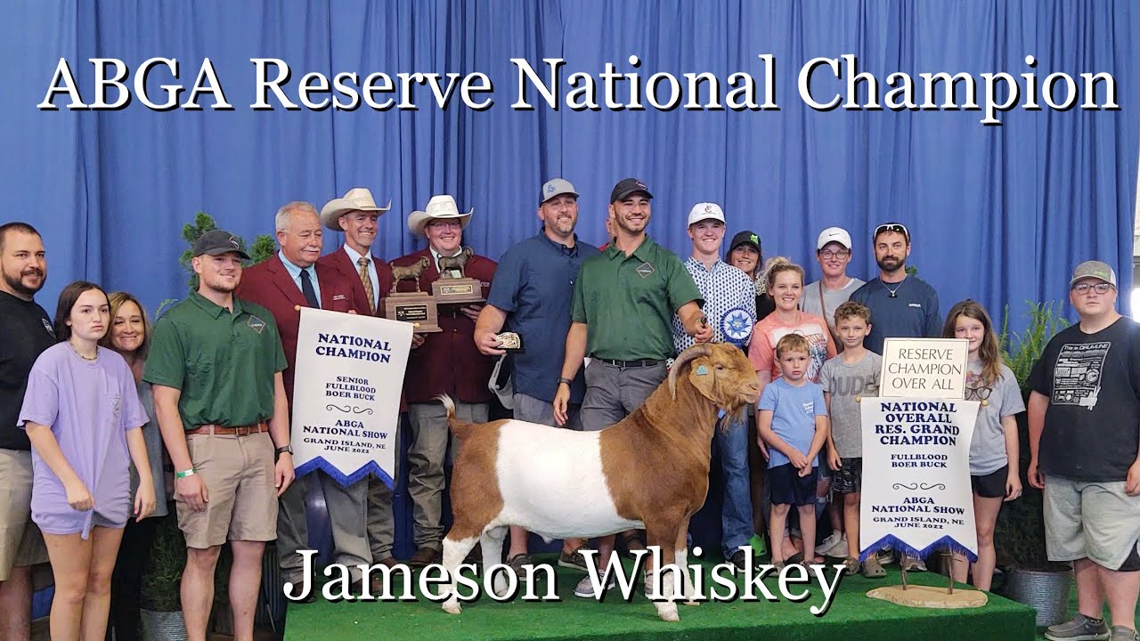 Jamison Whiskey Reserve ABGA National Champion - YouTube