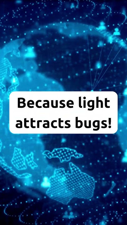 Why Do Programmers Prefer Dark Mode? 🤔🖥️ #funnyjokes #programmerhumor ...