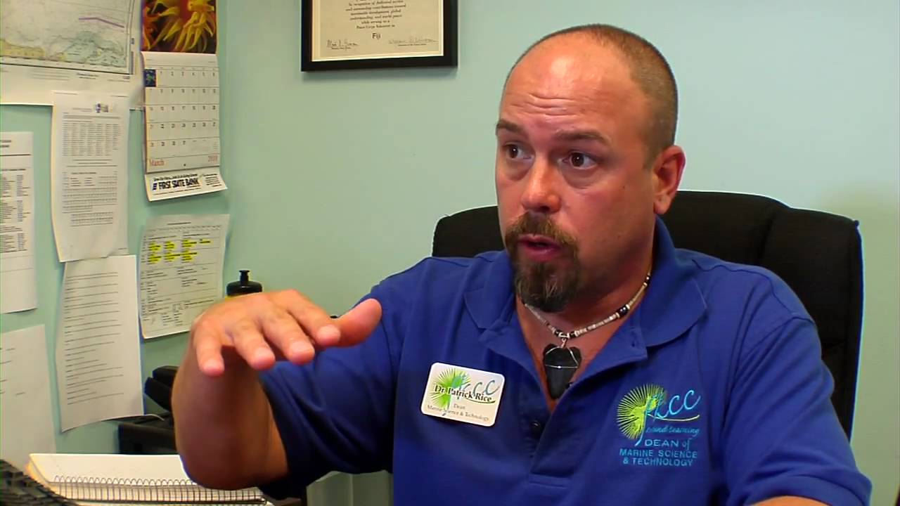 BP Oil Spill Solutions discussed by Dr. Patrick Rice - YouTube