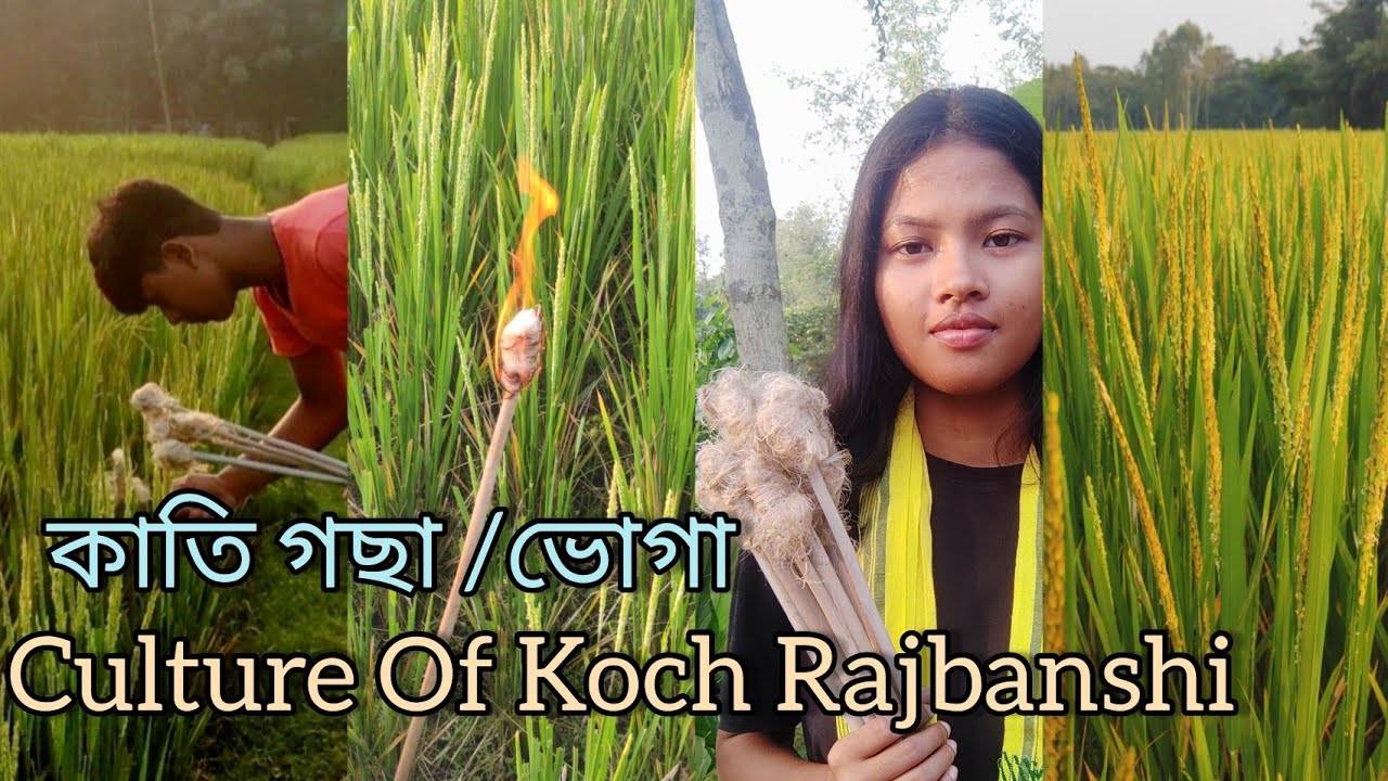 Kati Gosa l Voga ll The Culture of Koch Rajbanshi ll Kamtapuri Vlog ll ...