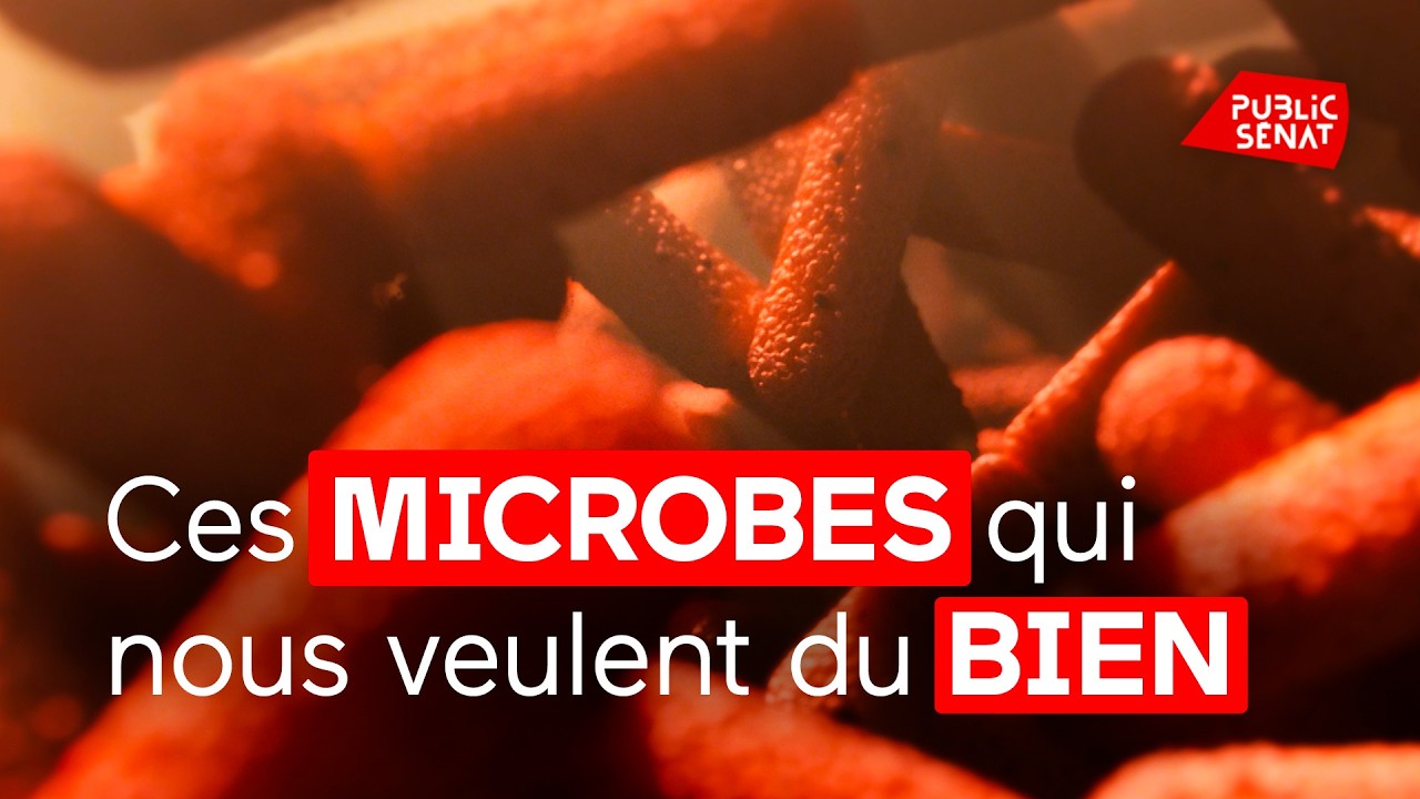 Ces microbes qui vous veulent du bien - YouTube