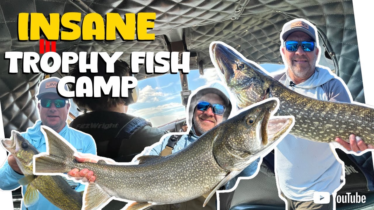 Insane Trophy Fish Camp - YouTube