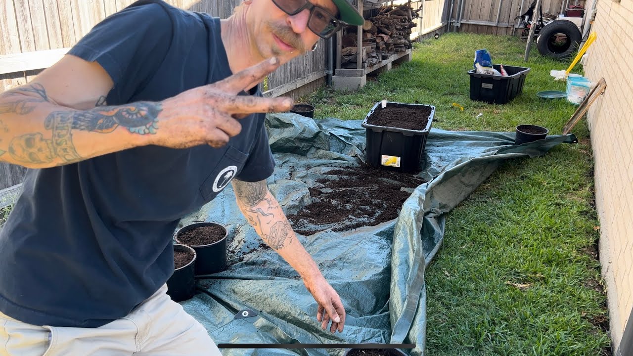 My soil mix and SIP container - YouTube