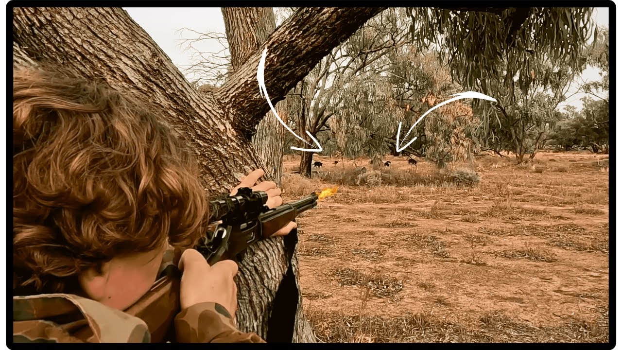 WILD PIG Shooting In NSW Australia - YouTube