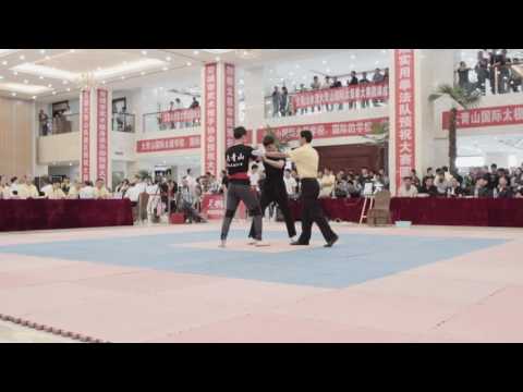 DQS 2016 TaiJi Push Hand Competition Part 020
