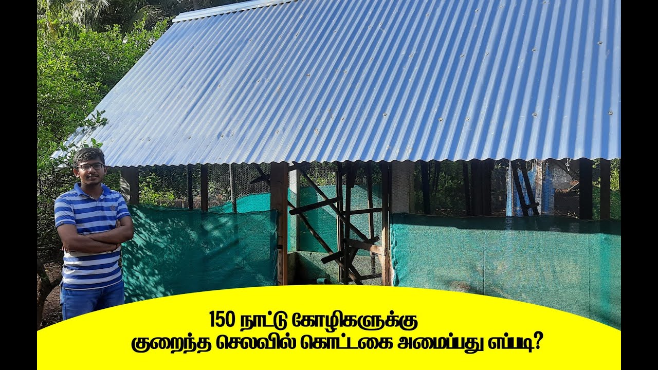 150 நாட்டு கோழிகளுக்கு குறைந்த செலவில் கொட்டகை அமைப்பது எப்படி? Nattu ...