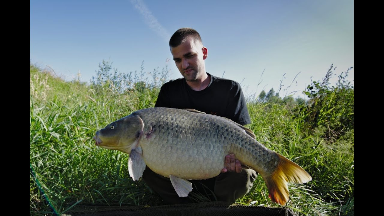 Night carp fishing on river | Nočný lov kapra na rieke - YouTube