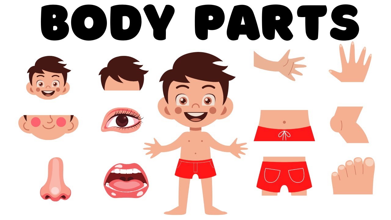 Learn Parts Of Body Name Parts Of Body Name With Spelling Basic learn-parts-of-body-name-parts-of-body-name-with-spelling-basic