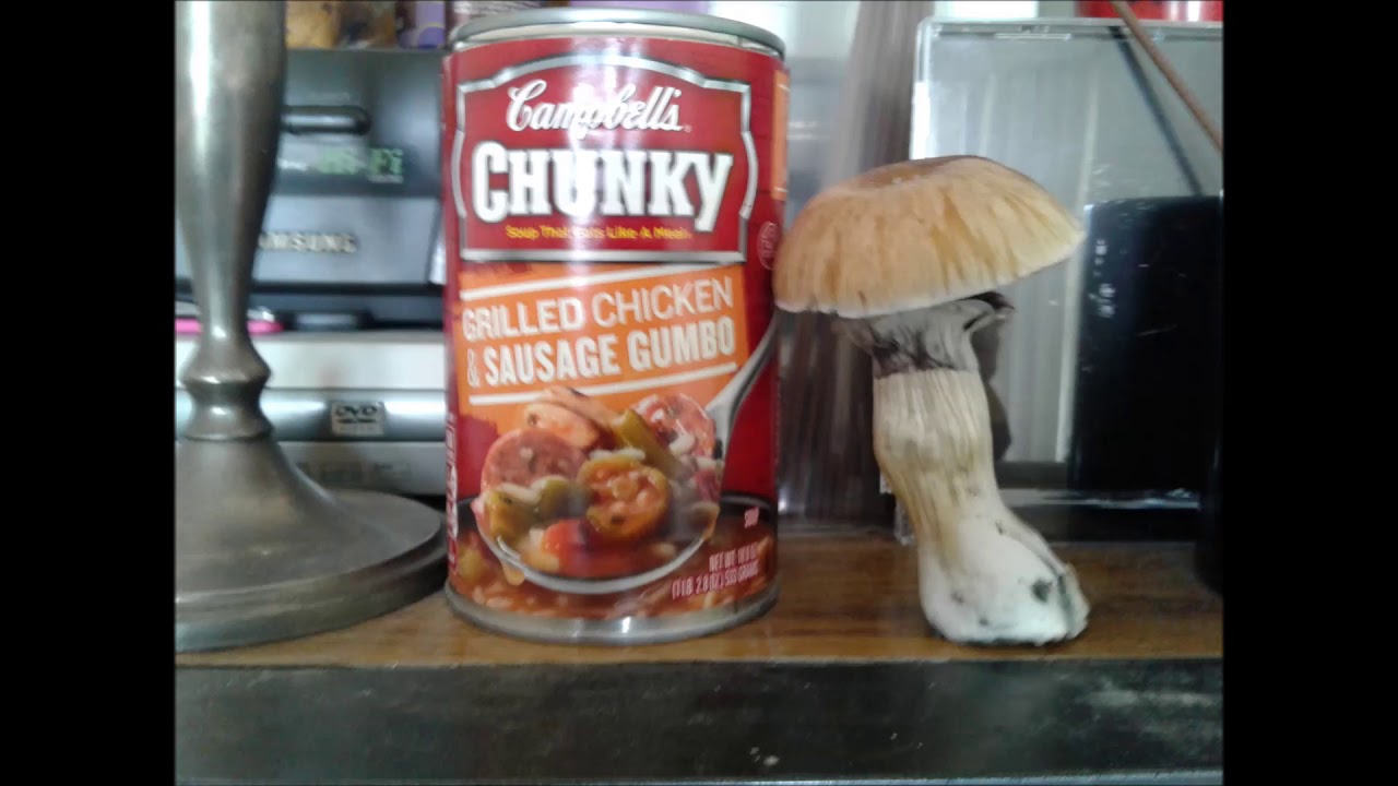 DRIVING BY - Jason Feder and The United Underworld (Sexy Hookers) - YouTube