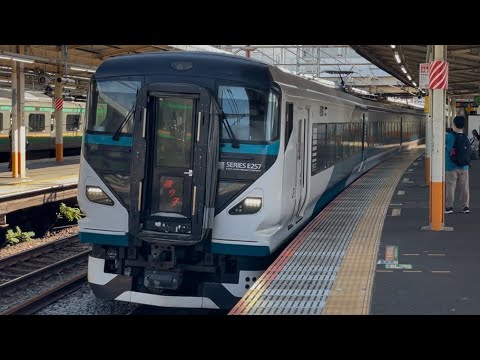 E257系2000番台ｵｵNA-08編成が特急踊り子6号東京行きとして静かに大船駅2番線を発車するシーン（3026M）2025.7.21 - YouTube