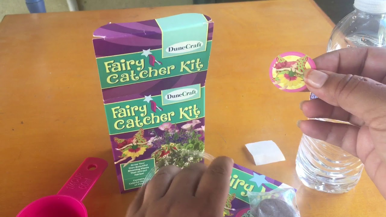 Dollar Tree How To Fairy Catcher Kit - YouTube