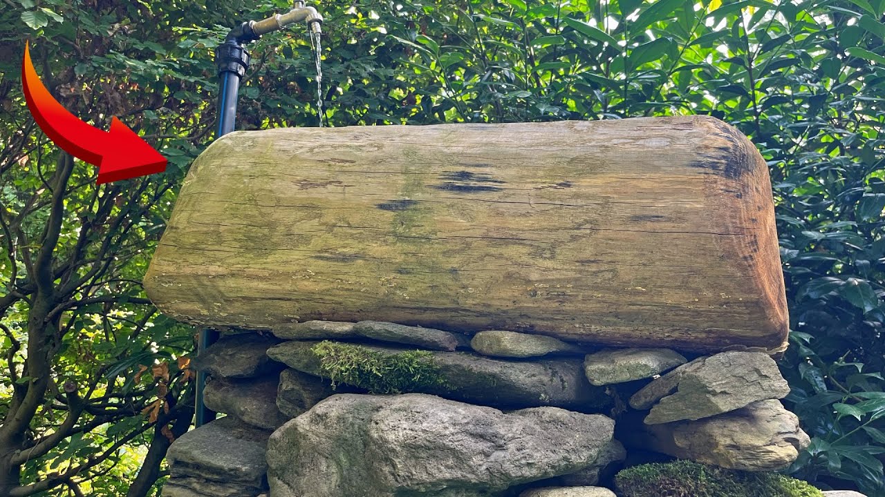 From Log to Flowing Water - YouTube