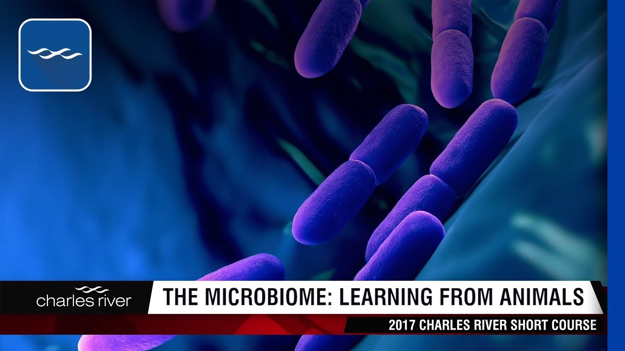 The Microbiome Learning from Animals - YouTube
