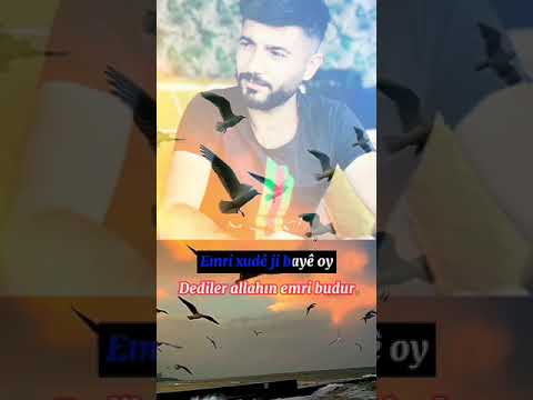 Gergerli hasan Aşe